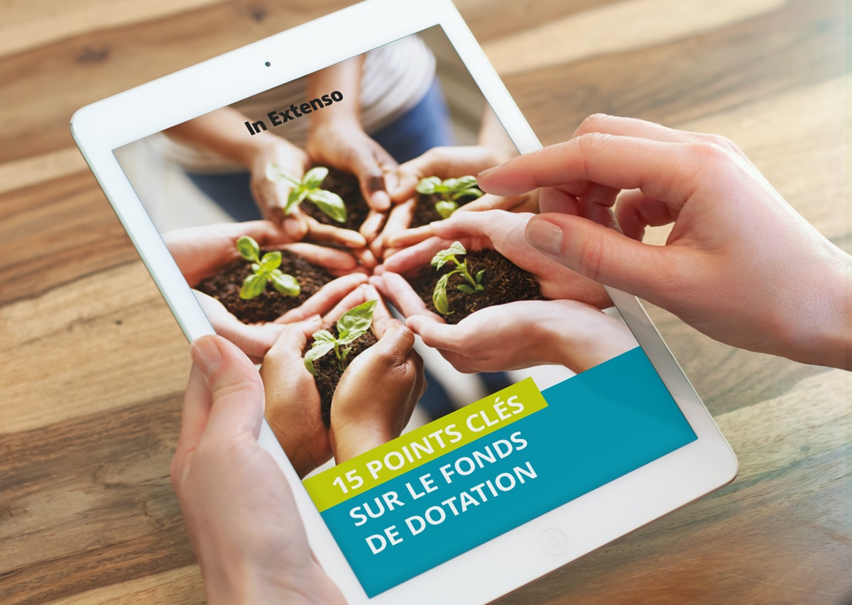 Les 15 points clés sur le fonds de dotation - In Extenso économie sociale
